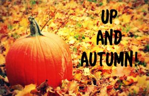 Movie Reviews by Eric D. Snider